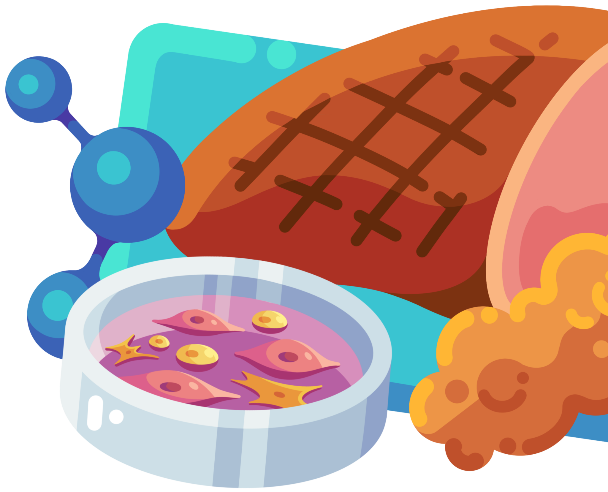 Value Chain | Cultivated Meat - GFI